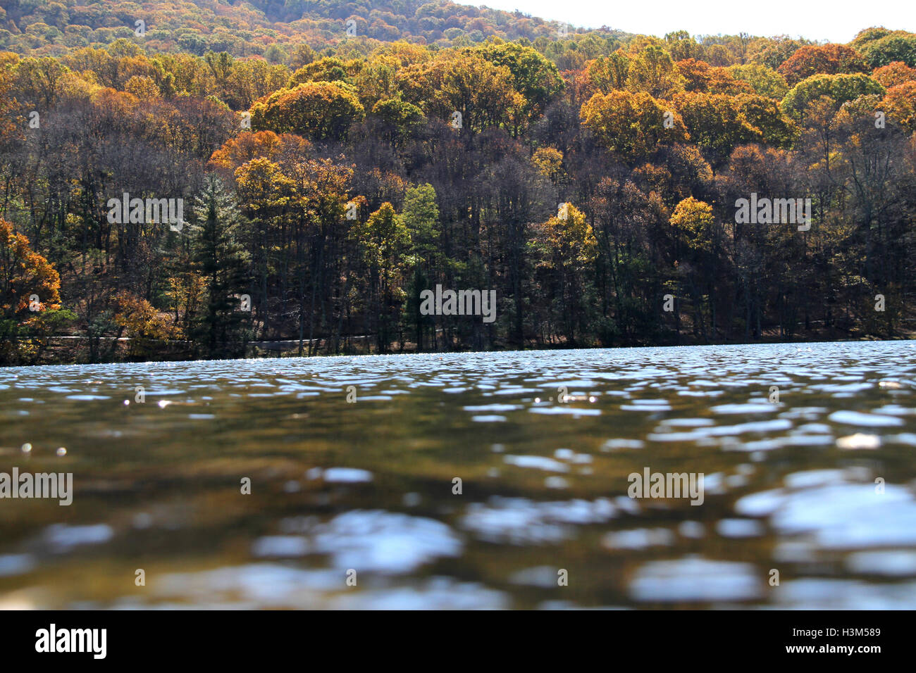 Blue Ridge Parkway, Virginia, USA. View of Abbott Lake in autumn Stock ...
