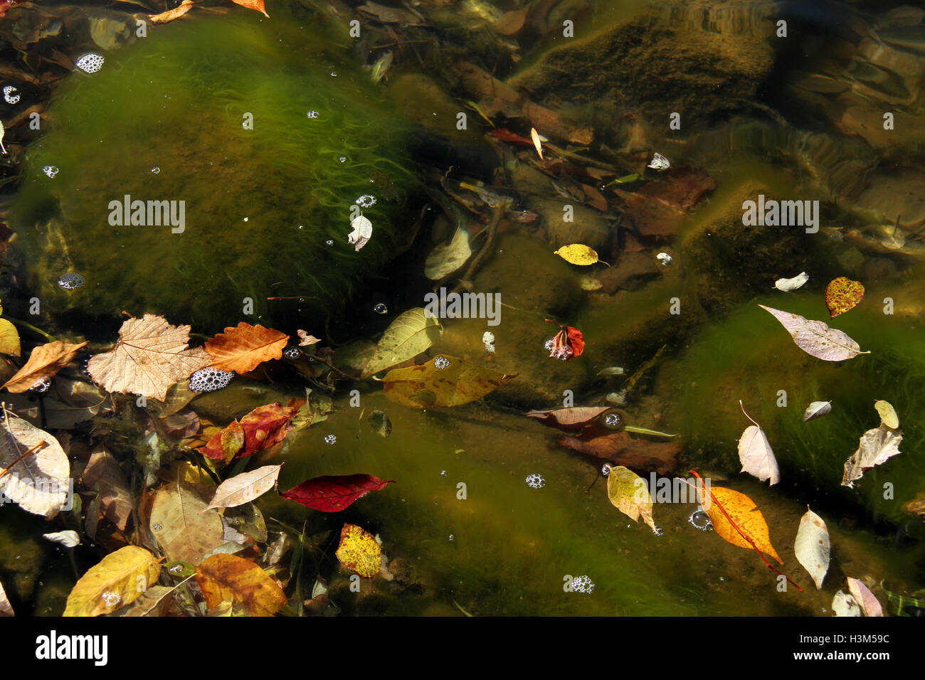 Surface water slow down hi-res stock photography and images - Alamy