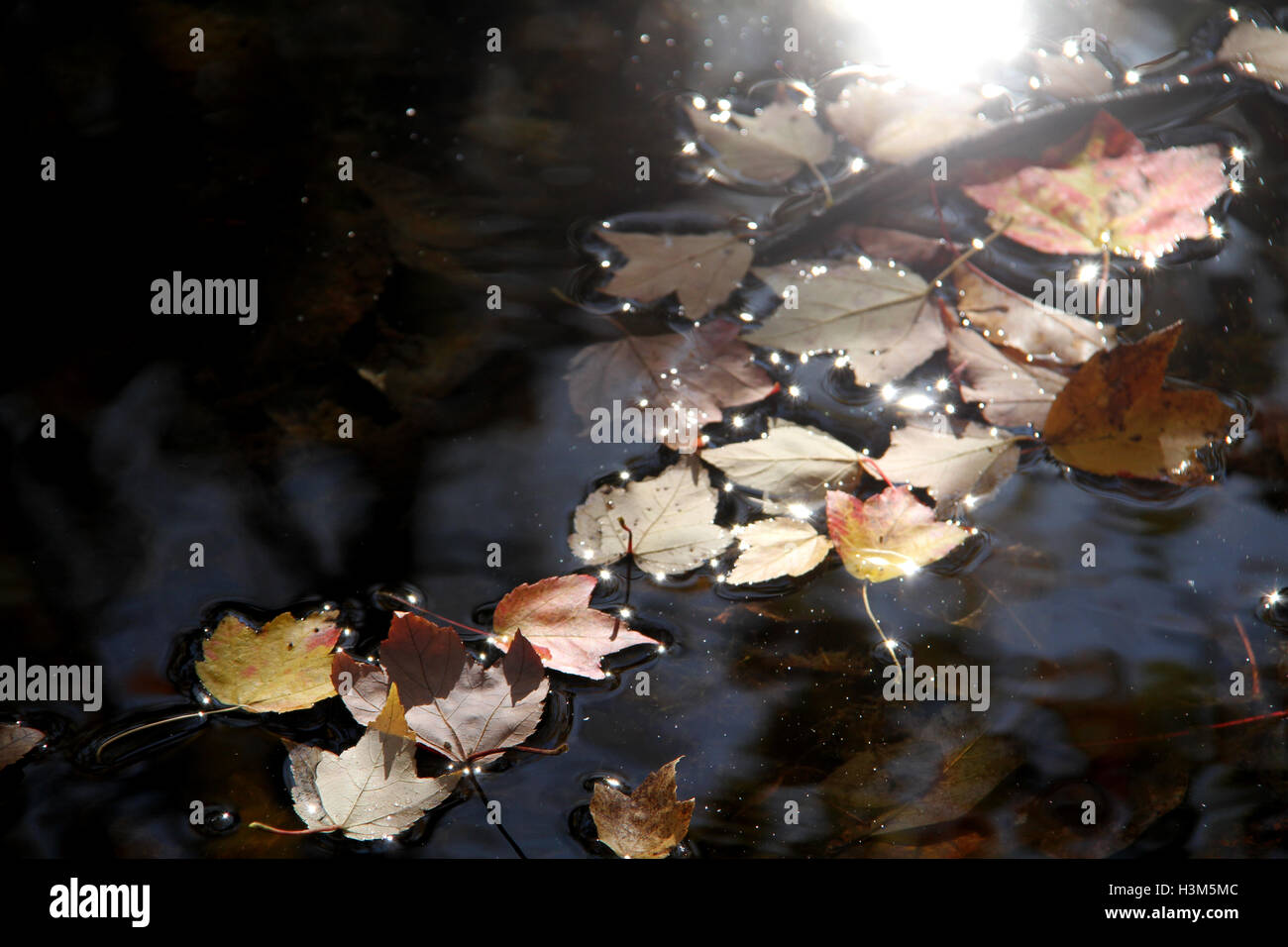 Surface water slow down hi-res stock photography and images - Alamy