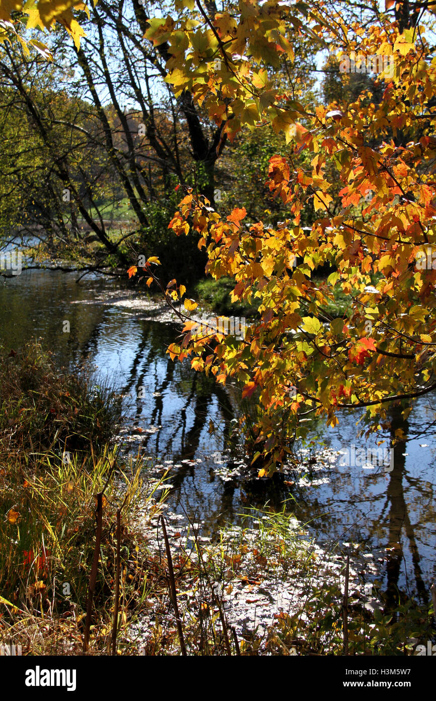 Yard creek park hi-res stock photography and images - Alamy