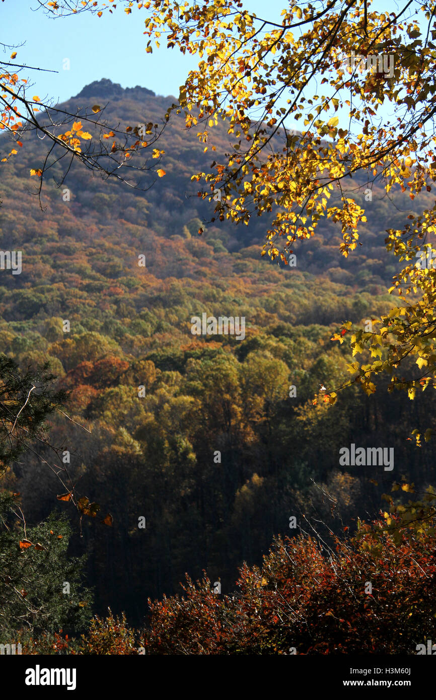 Virginia, USA. View of Sharp Top in autumn Stock Photo - Alamy