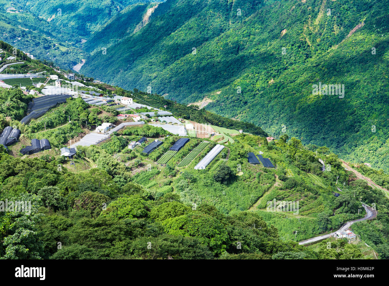 Cingjing farm at Taiwan Stock Photo - Alamy
