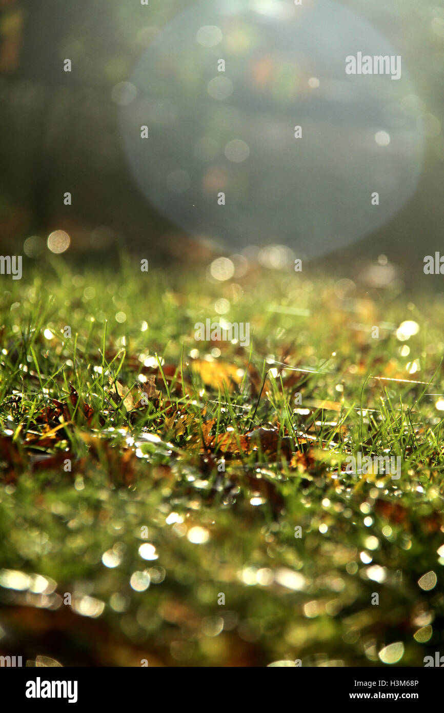 Dry bright sunny hi-res stock photography and images - Alamy