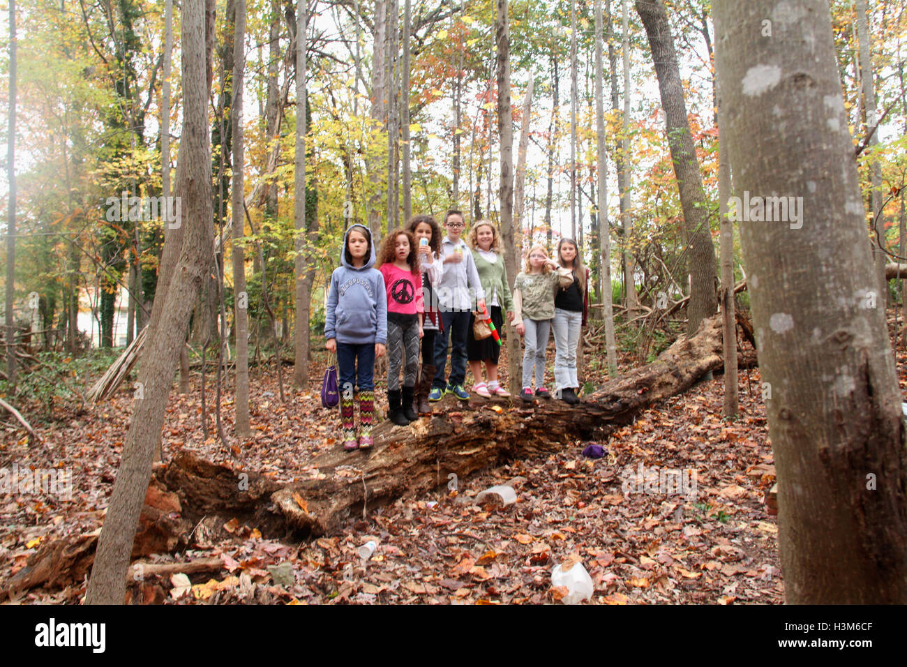 Children playing in the woods hi-res stock photography and images - Alamy
