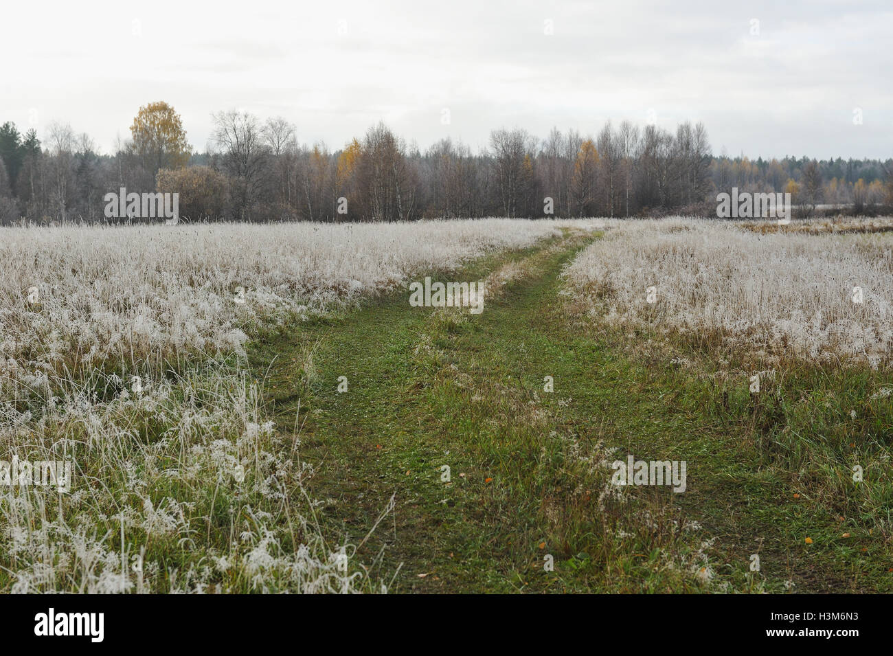 Trough white background hi-res stock photography and images - Alamy