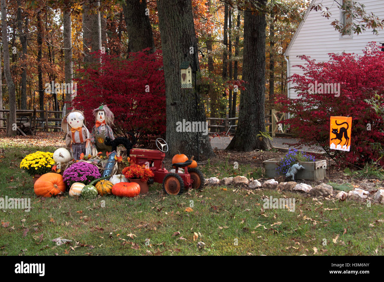 Autumn Fall Display Scarecrow Pumpkin High Resolution Stock Photography ...
