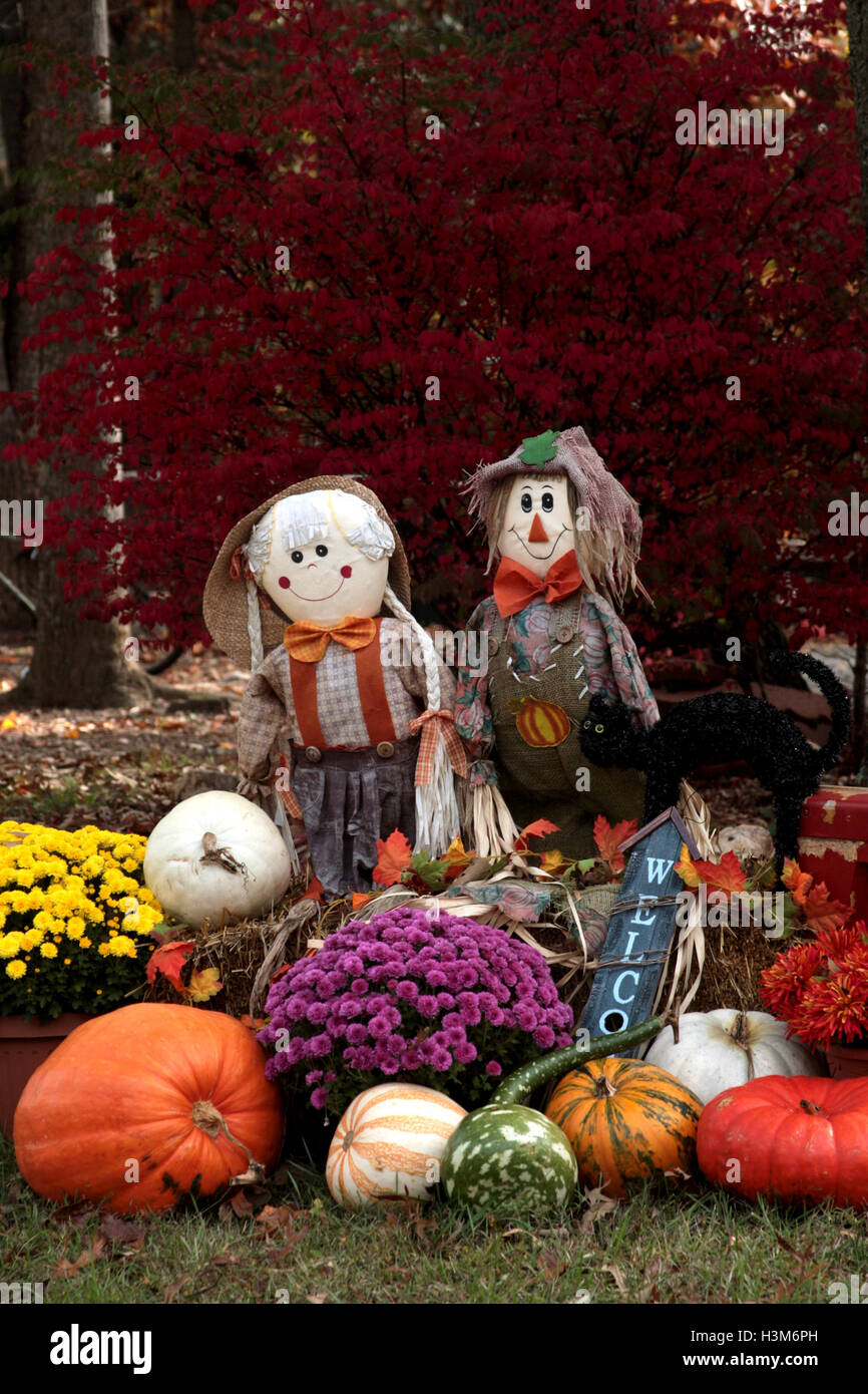 Halloween display scarecrow pumpkins hi-res stock photography and ...