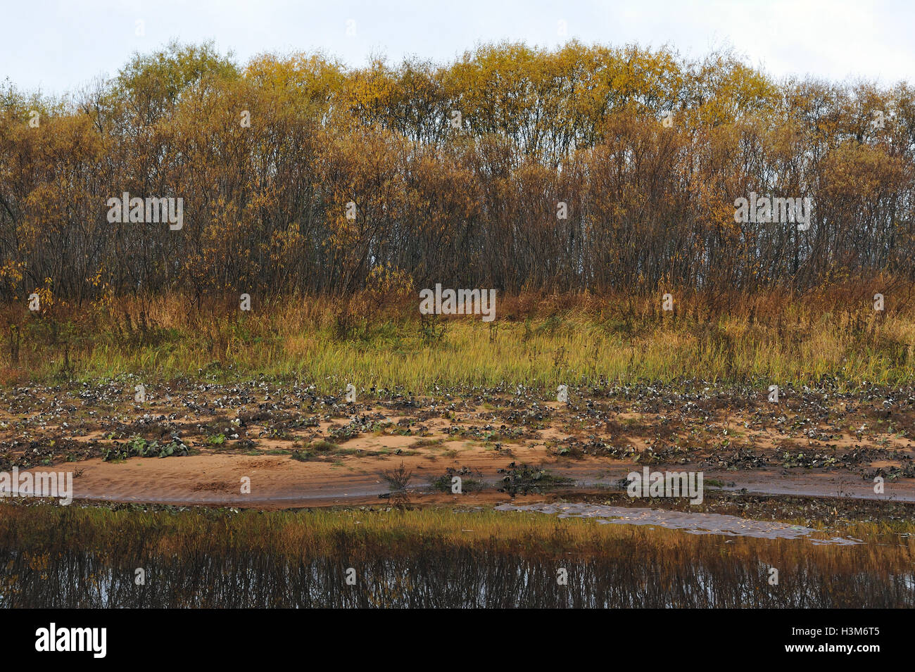 River bank scenic autumn autumn hi-res stock photography and images - Alamy
