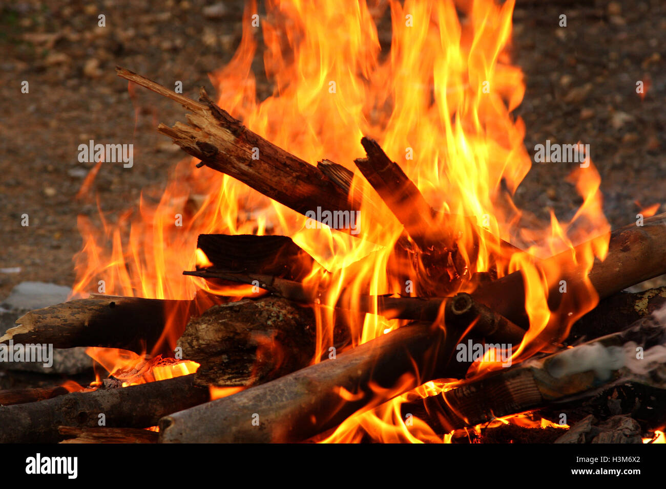 Destroy camp hi-res stock photography and images - Alamy
