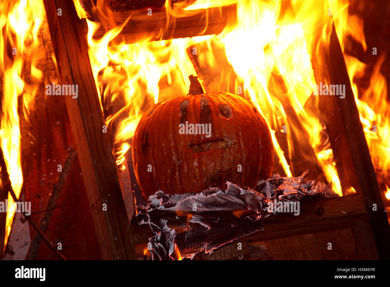 Pumpkin burning in large camp fire in the dark Stock Photo - Alamy