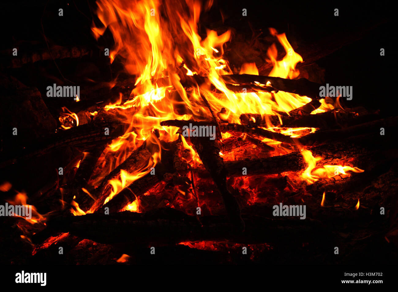 Ravage camp hi-res stock photography and images - Alamy