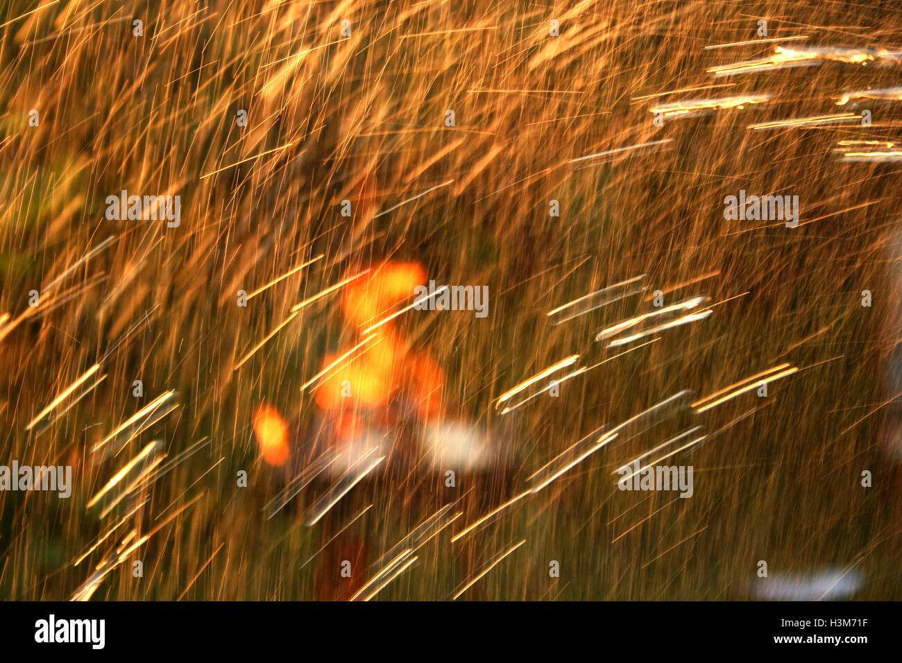 Water spray over fire Stock Photo - Alamy