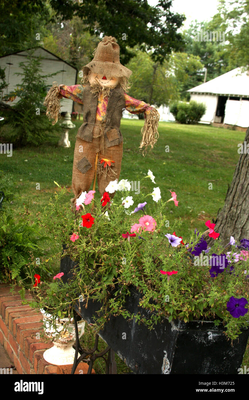 Outdoor fall decoration with scarecrow and pumpkin Stock Photo - Alamy