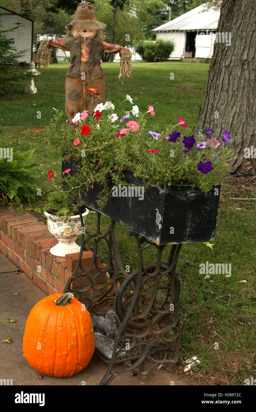 Fall scarecrow pumpkin display hi-res stock photography and images - Alamy
