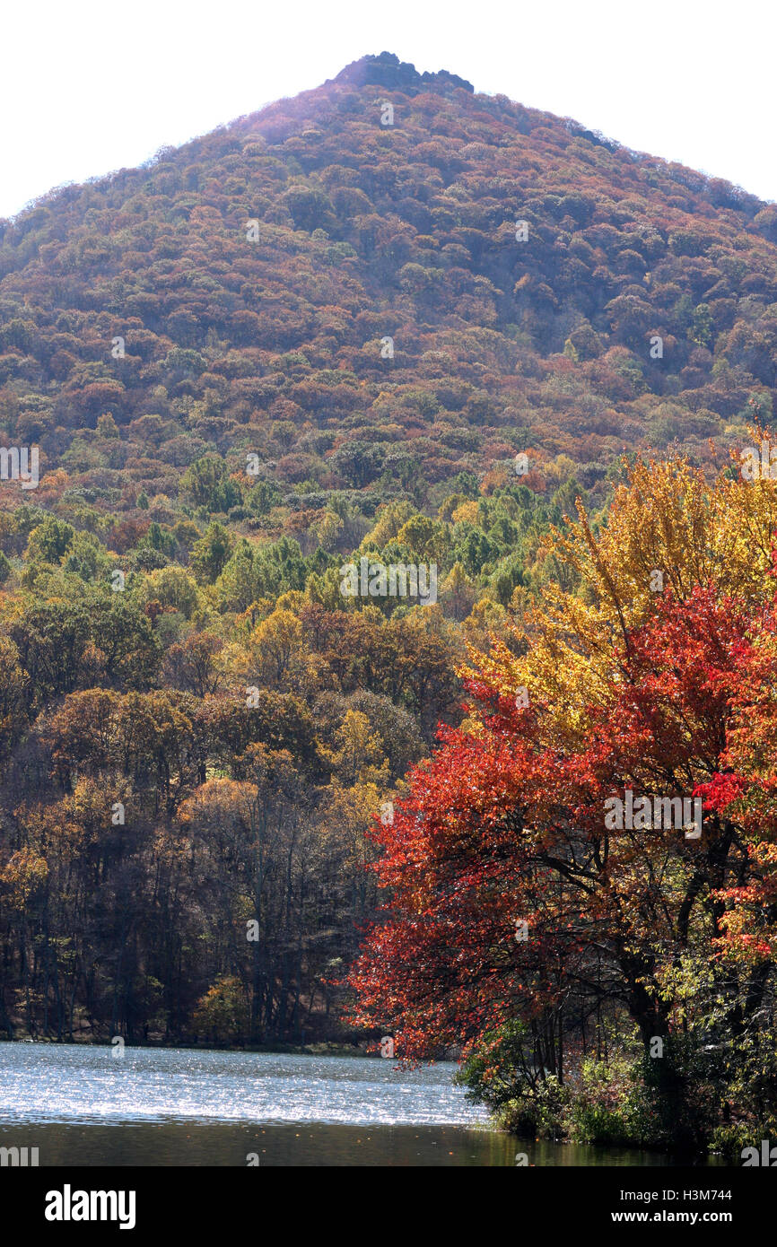 Blue Ridge Parkway, Virginia, USA. View of Abbott Lake and Sharp Top in ...