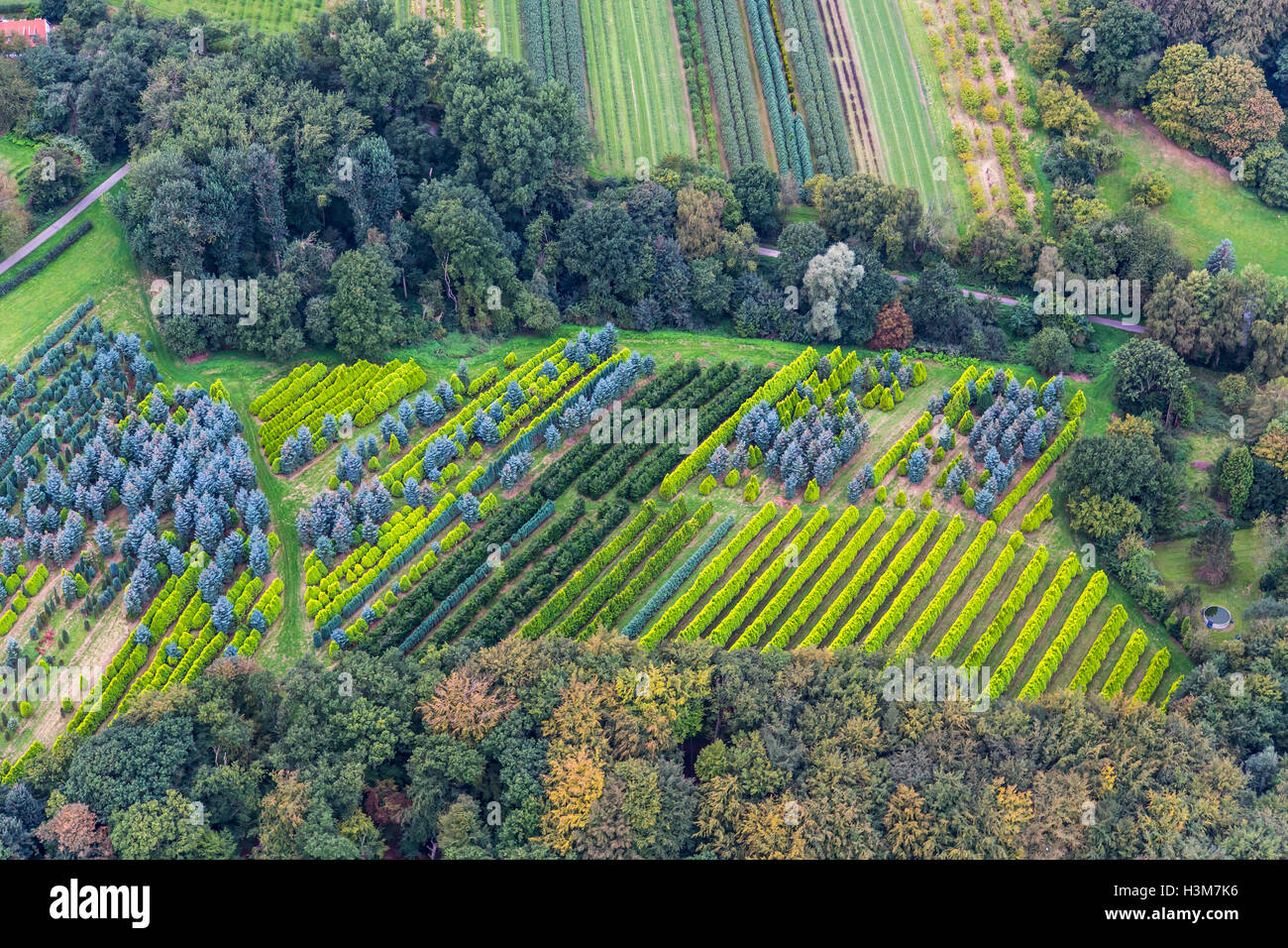 Areal view of a tree nursery, different plants, colors, shapes ...