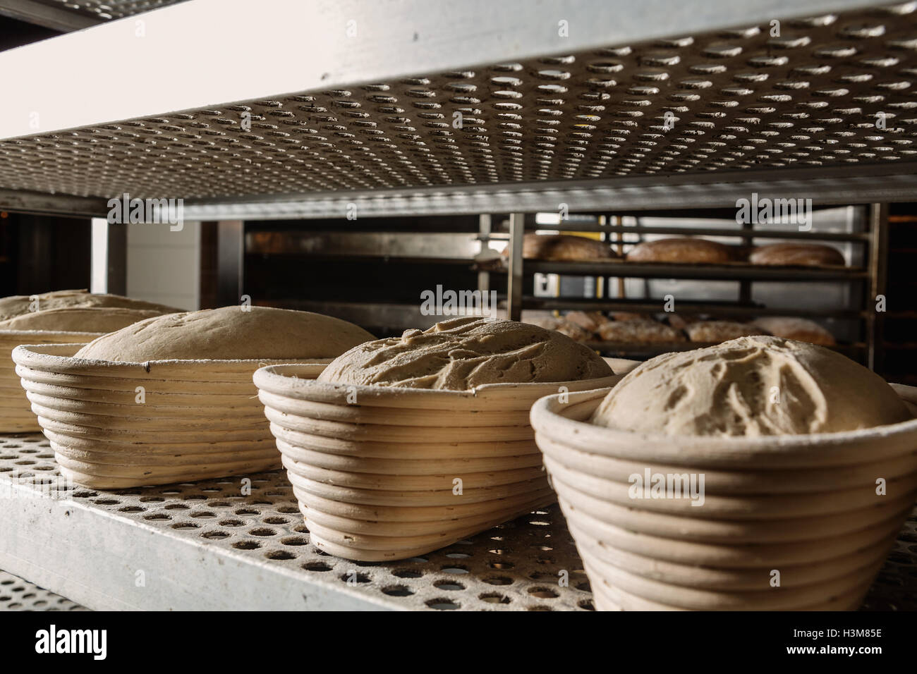 Raw leavened breads prepared on the rack before placing in the oven ...
