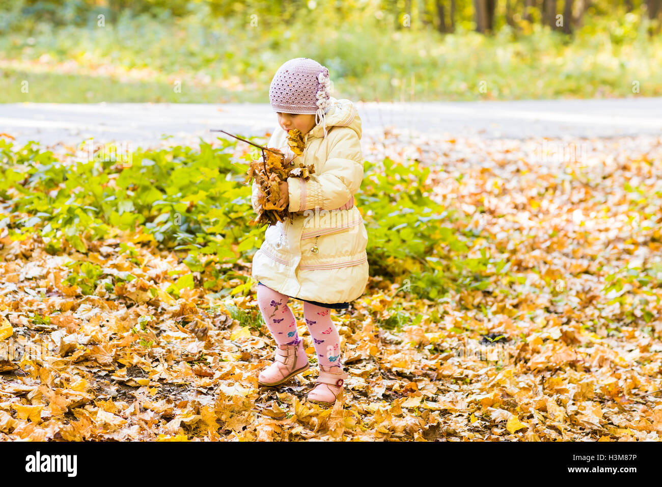 cute baby girl in fall time Stock Photo - Alamy