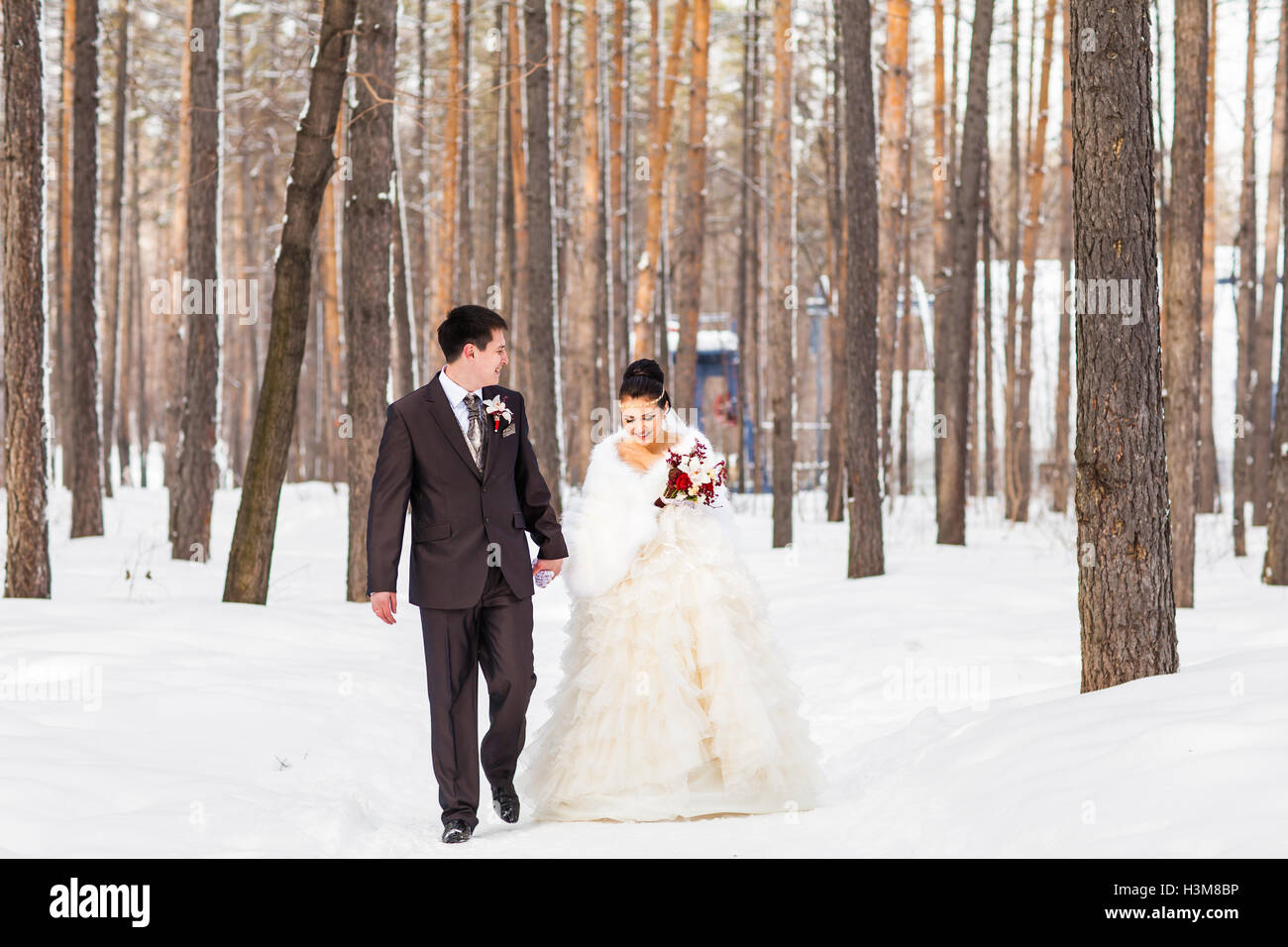 Winter wedding. Beautiful young couple bride and groom Stock Photo - Alamy