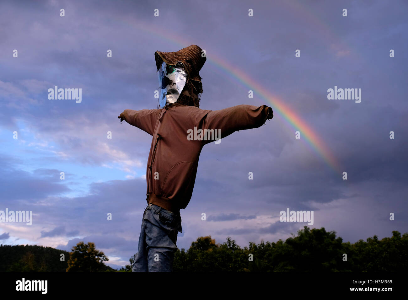 A scarecrow in the field and rainbow over mountainous region in Si Dong ...
