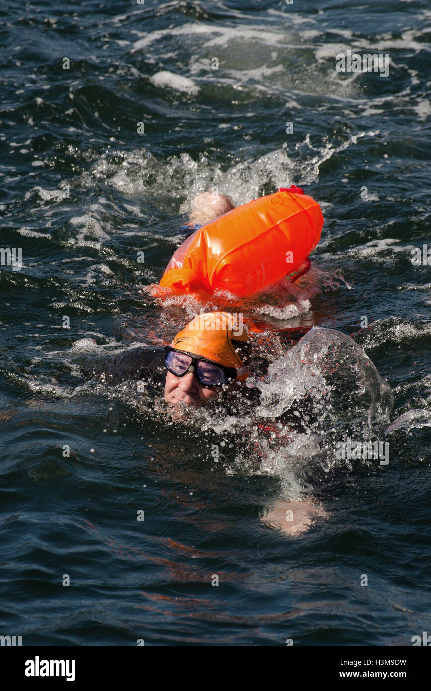 Copenhagen Harbour Swim High Resolution Stock Photography and Images ...