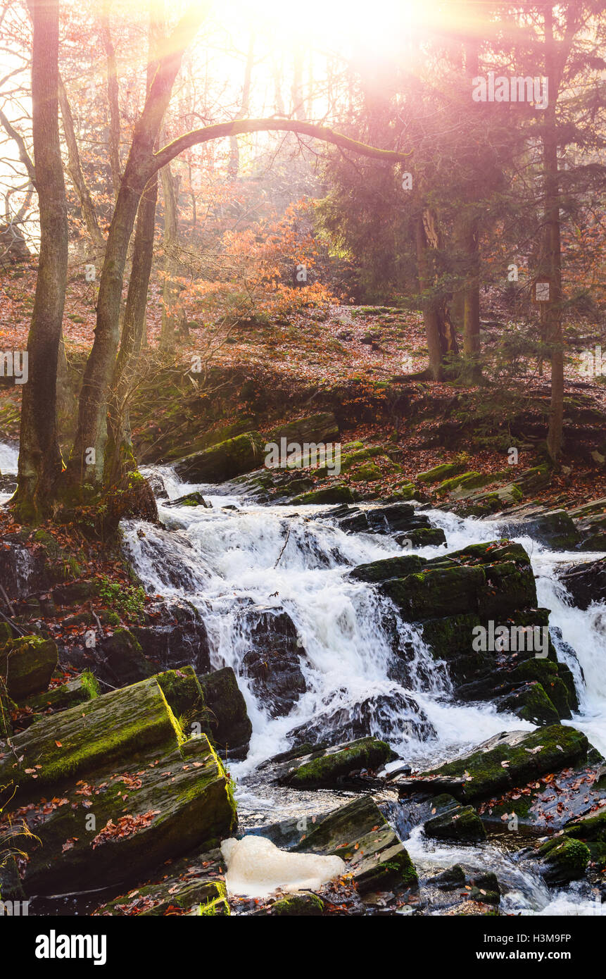 waterfall in misty autumn forest Stock Photo - Alamy