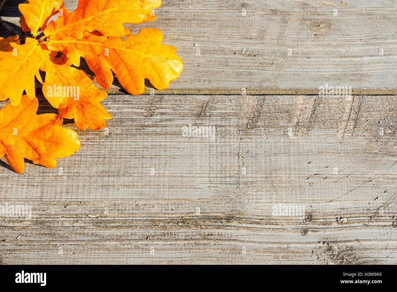 Autumn leaves on a table Stock Photo - Alamy