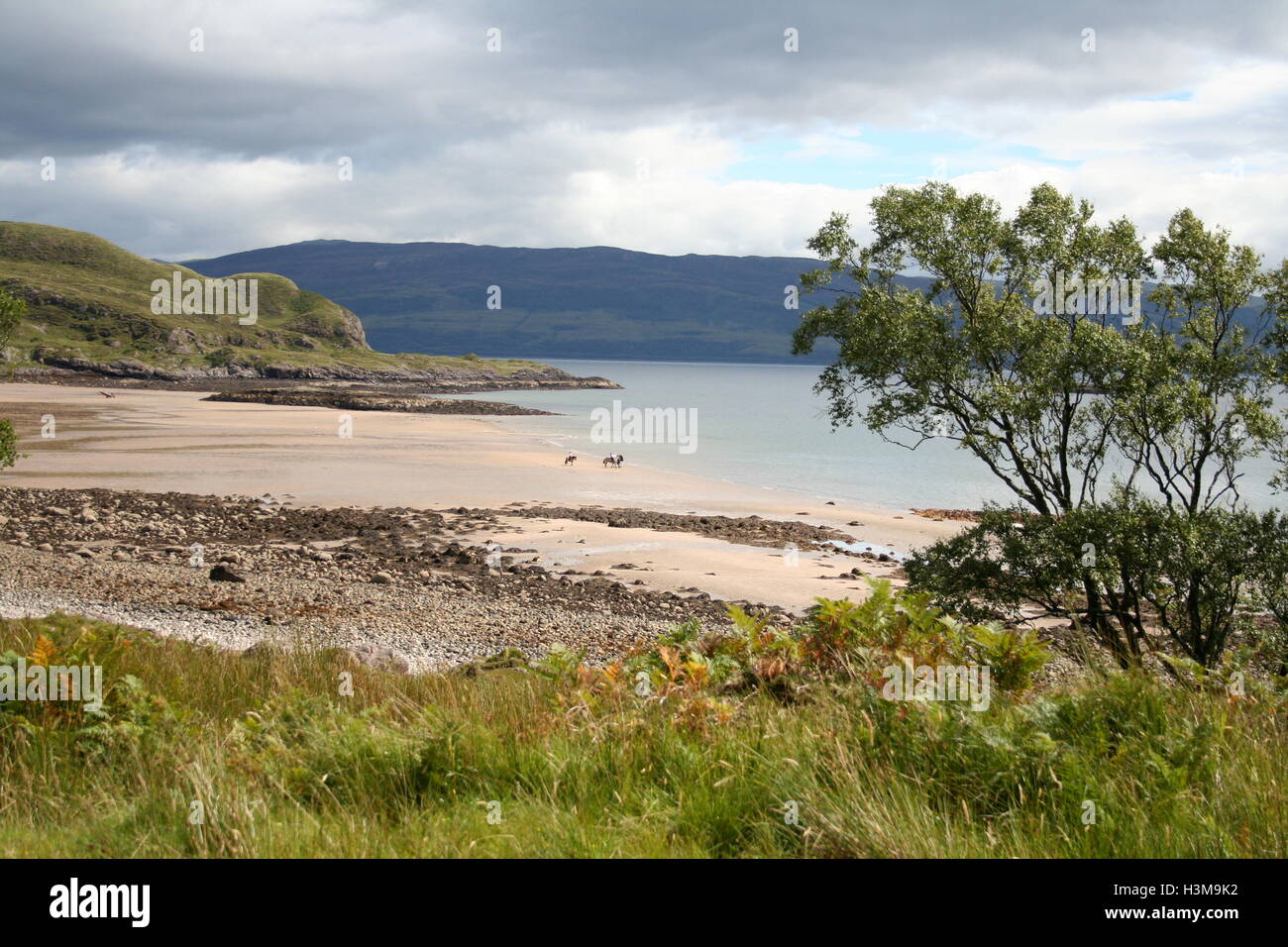 Loch Linnhe, from the picturesque B8043 road Stock Photo - Alamy