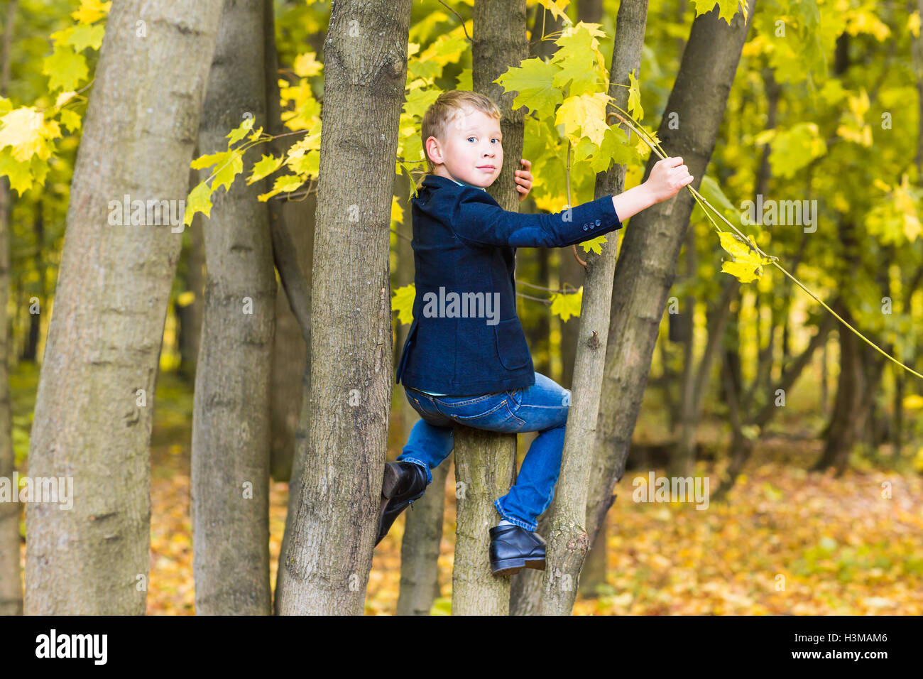 Smiling boy climbed in a tree in park Stock Photo - Alamy