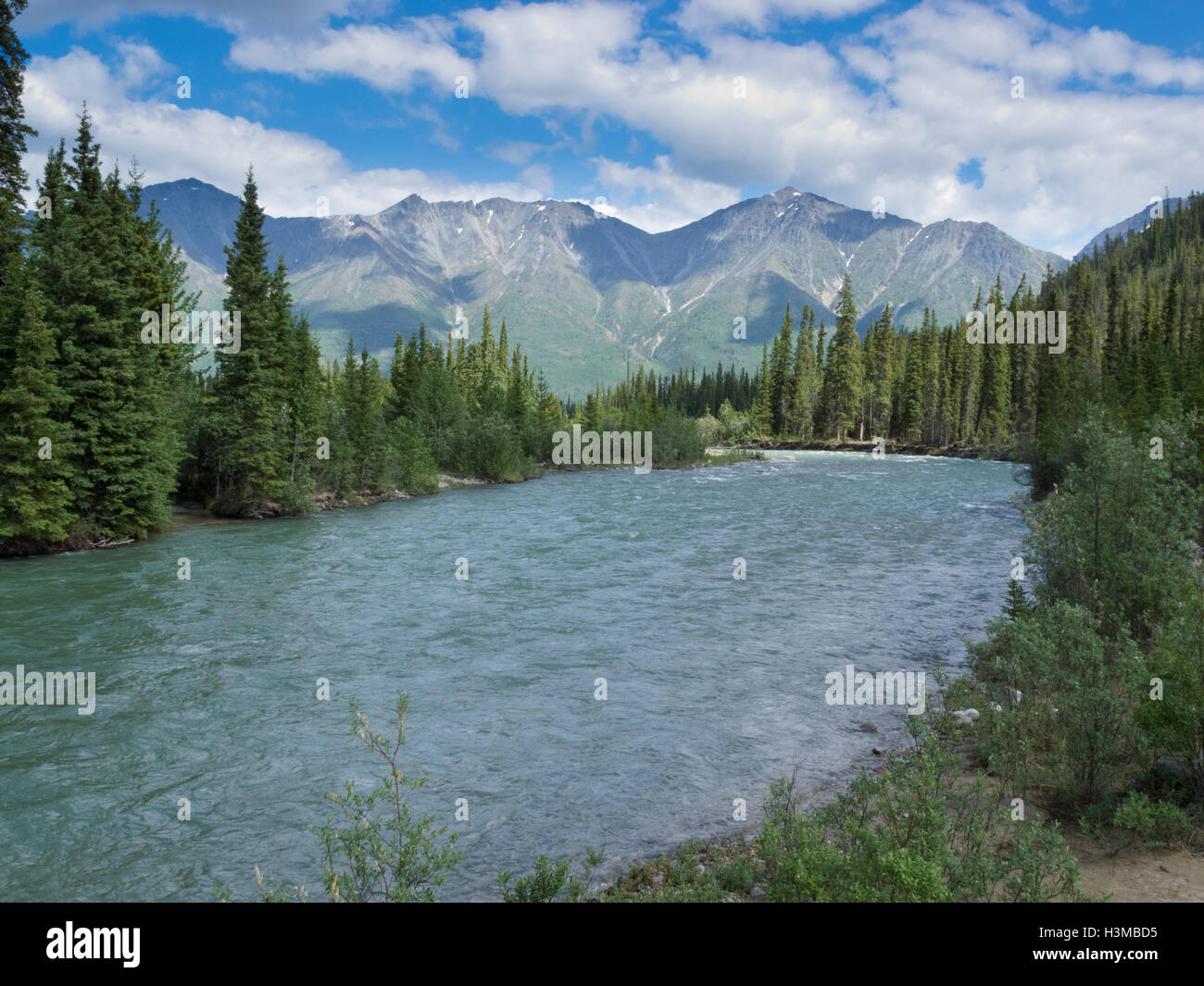 Wheaton River alpine valley Yukon Territory Canada Stock Photo - Alamy