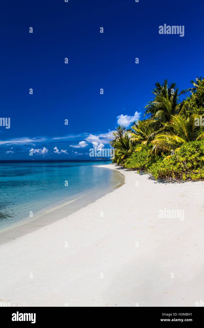 Summer beach tourism vacation holiday travel background concept. Blue ...