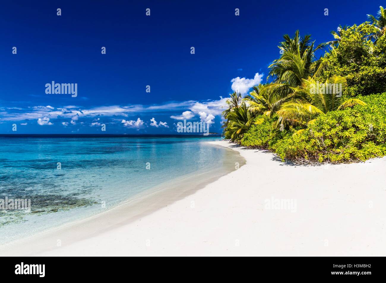 Summer beach tourism vacation holiday travel background concept. Blue ...