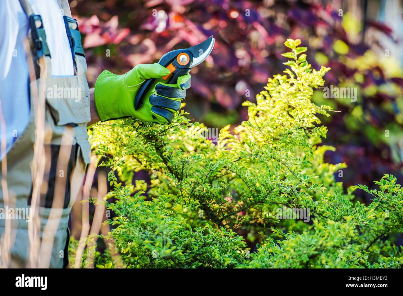 Hand snips hi-res stock photography and images - Alamy
