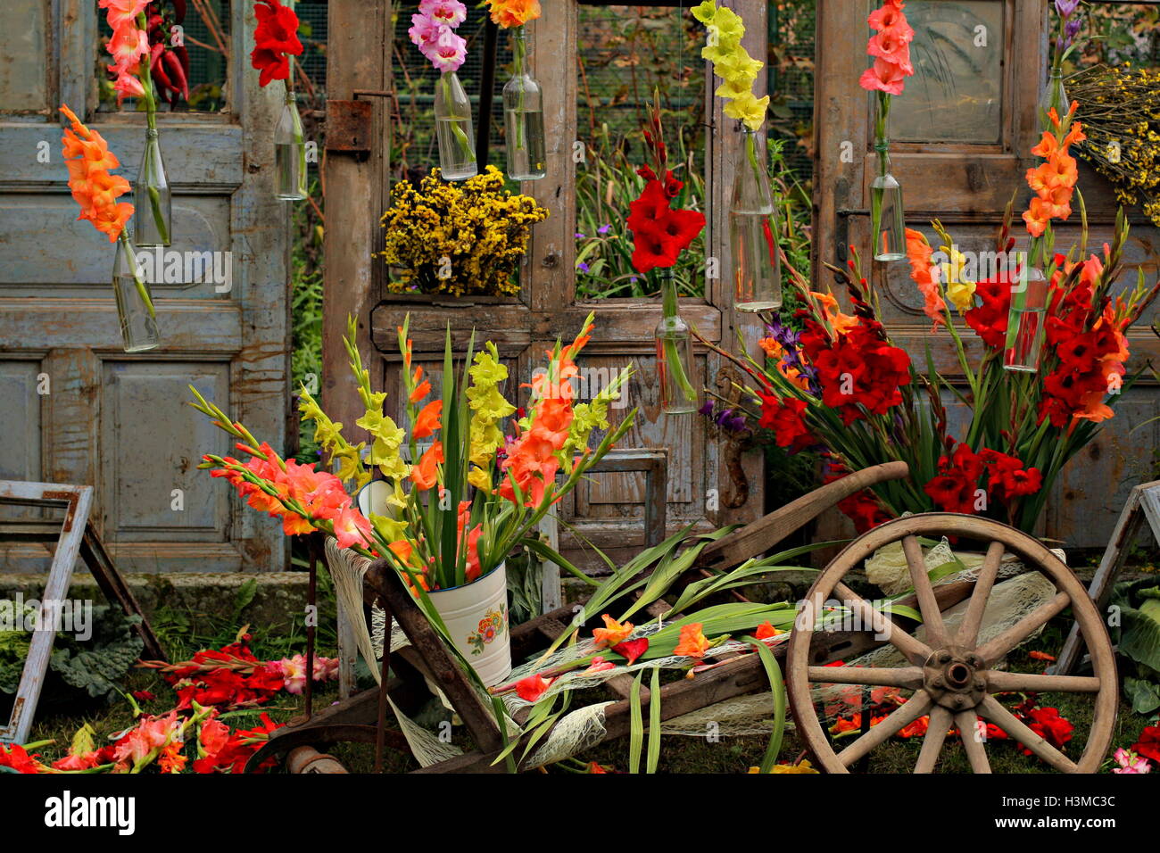 Vintage objects and bright flowers Stock Photo - Alamy