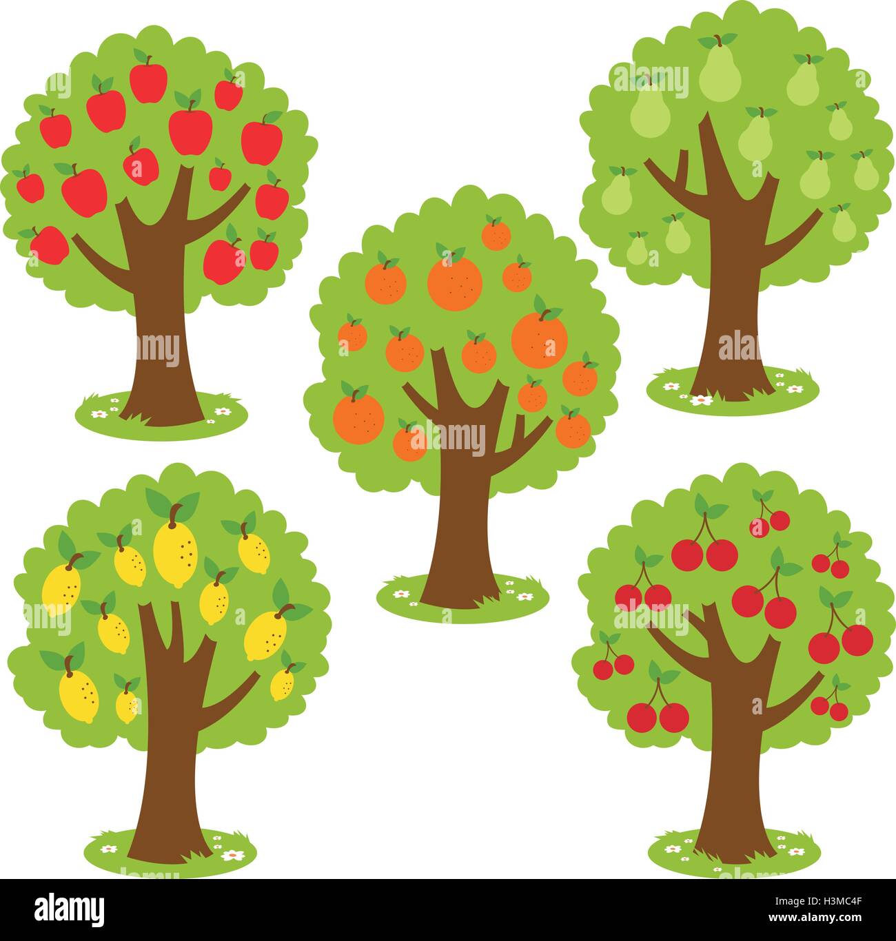 Cherry trees in garden Stock Vector Images - Alamy