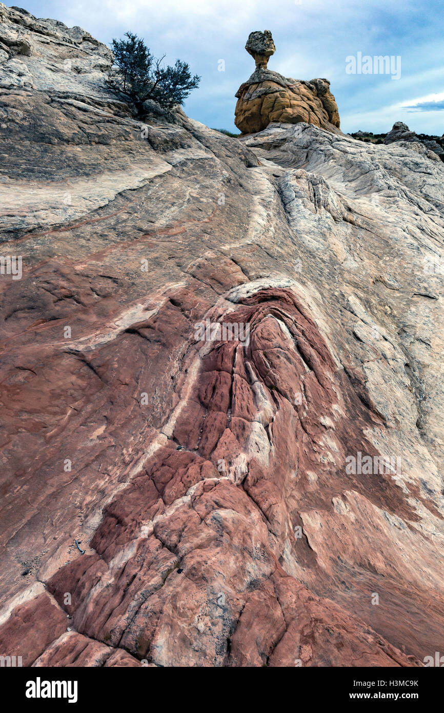 White Pocket, Paria Plateau, Arizona, USA Stock Photo - Alamy