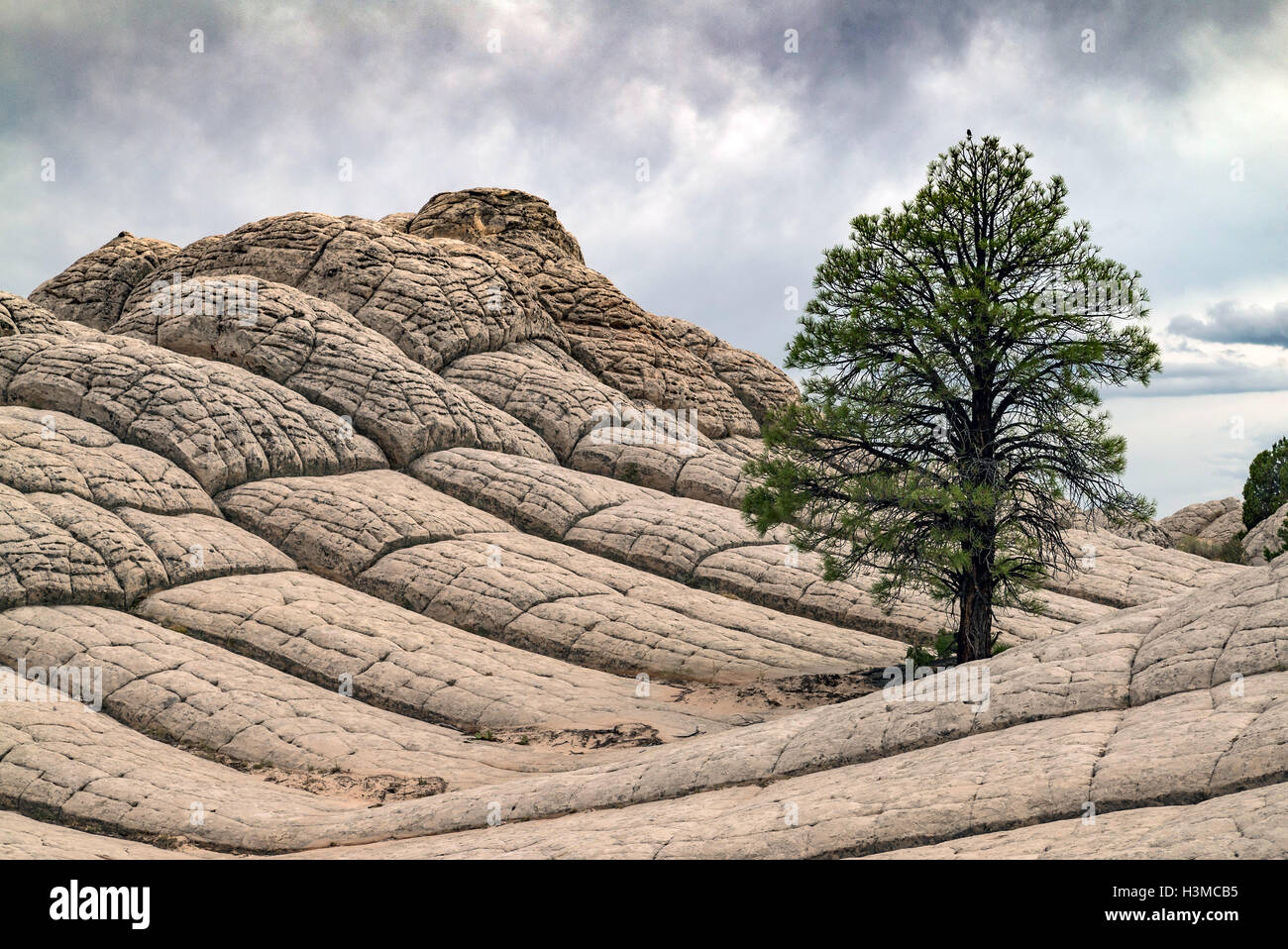 Paria Plateau Stock Photos & Paria Plateau Stock Images - Alamy