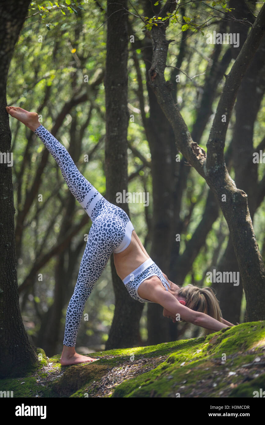Woman practising yoga in forest Stock Photo - Alamy