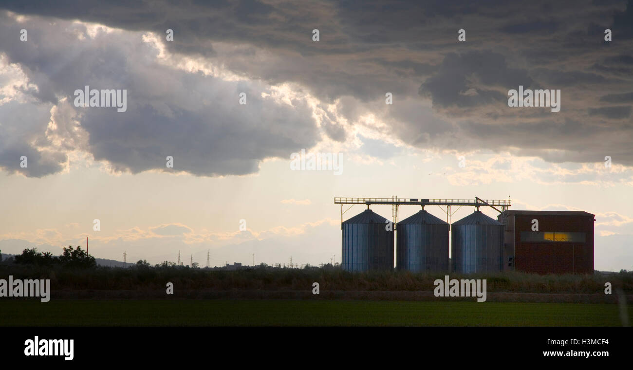 Rice processing plant, Novara, Piedmont, Italy Stock Photo - Alamy