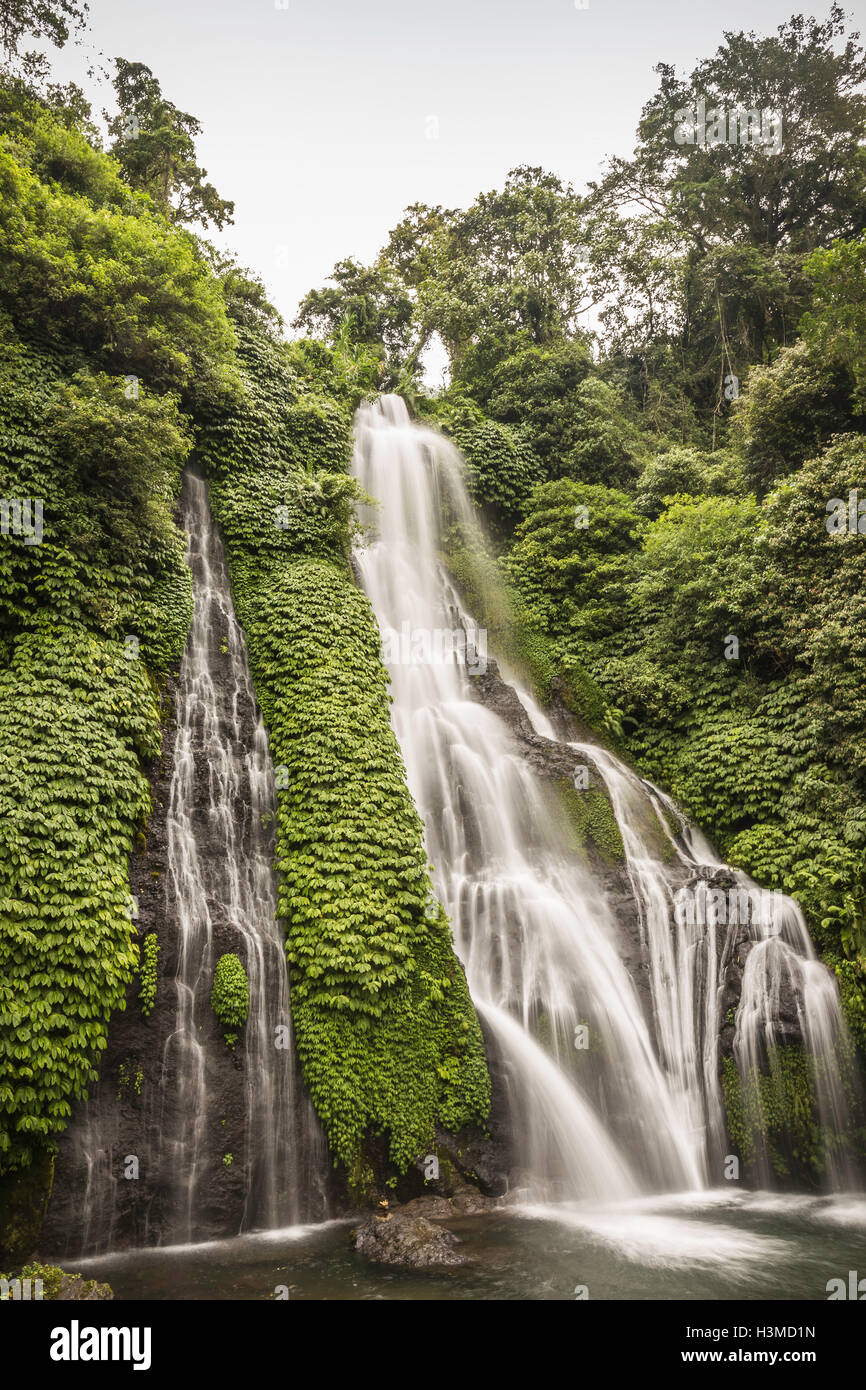 Rainforest waterfall, Wana Giri, Bali, Indonesia Stock Photo - Alamy