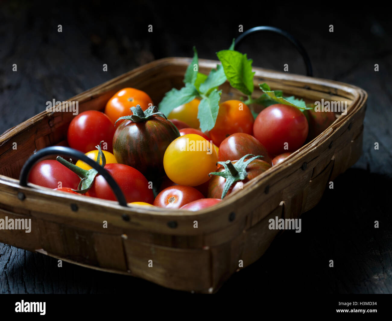 Fresh organic fruit, bistro tomato collection Stock Photo - Alamy