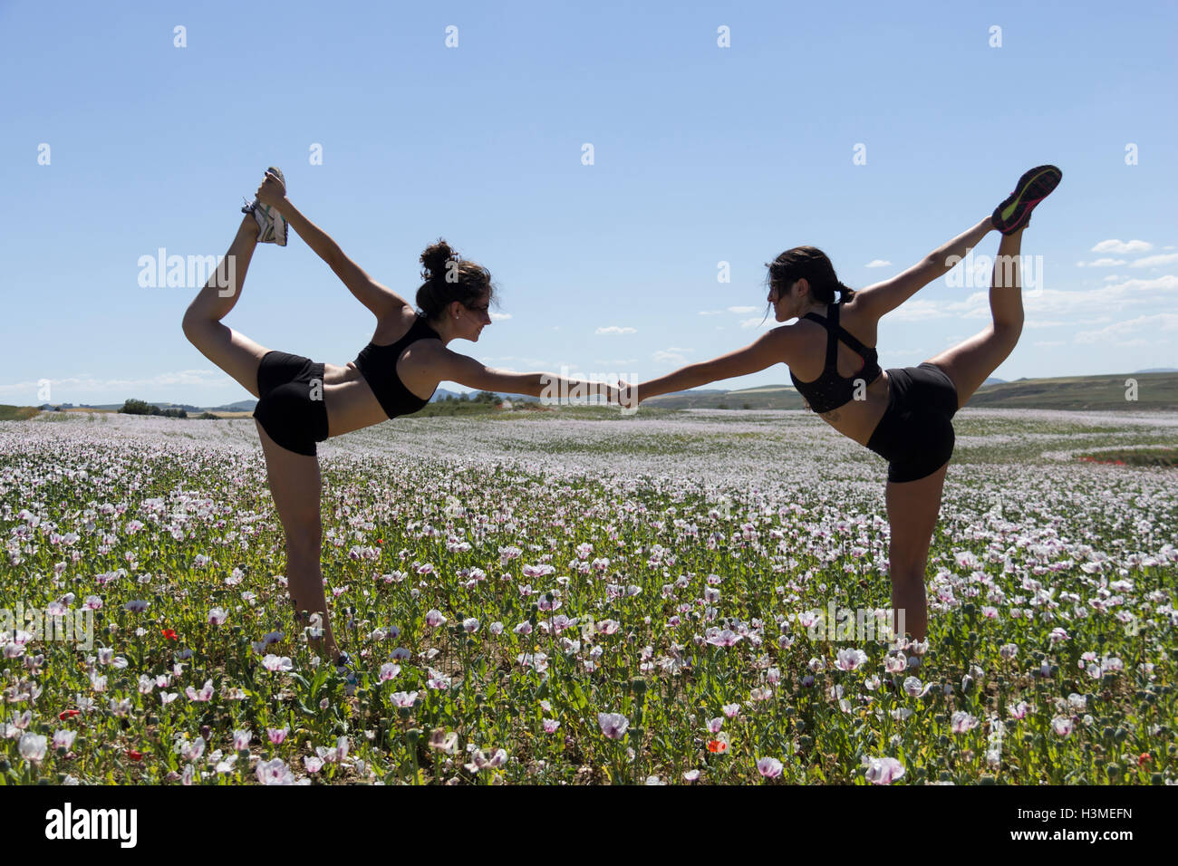 Yoga flowers hi-res stock photography and images - Alamy