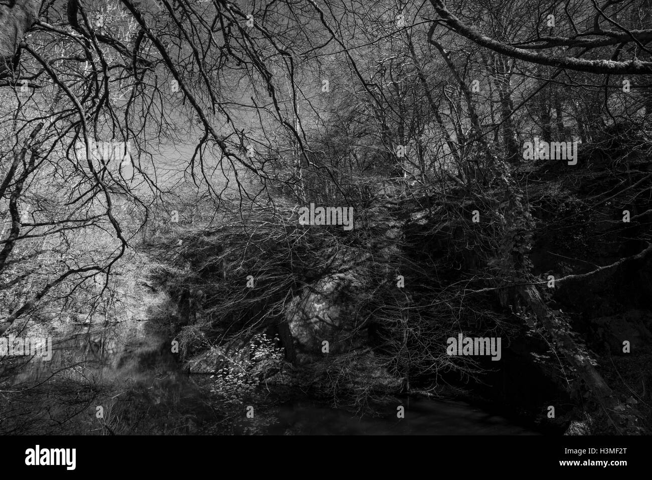 Vale pond Black and White Stock Photos & Images - Alamy