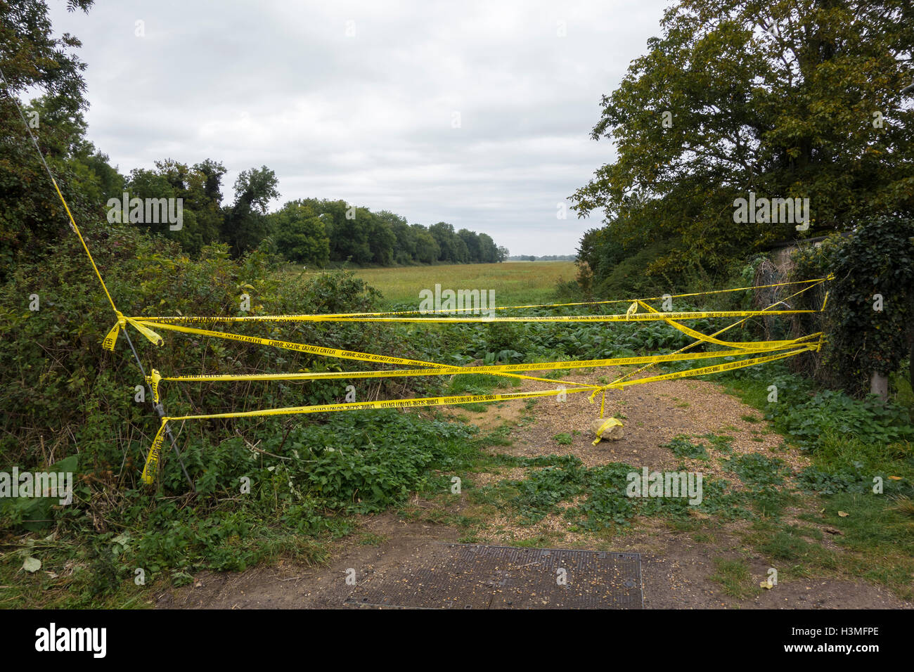 Crime scene Do not enter tape across field entrance Fen Road Milton ...