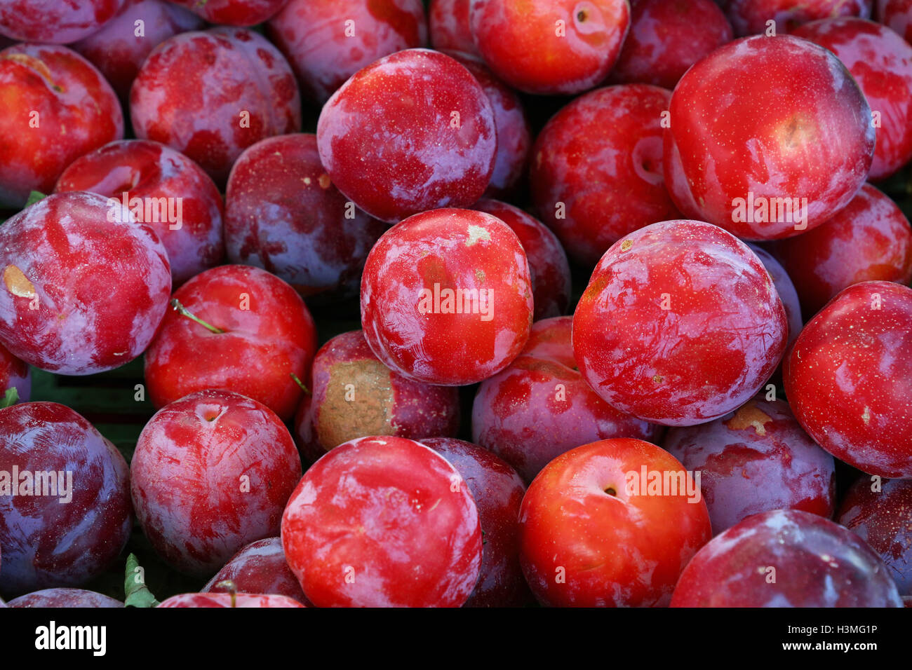 Fresh big red plums on retail store market fruit display, close up ...