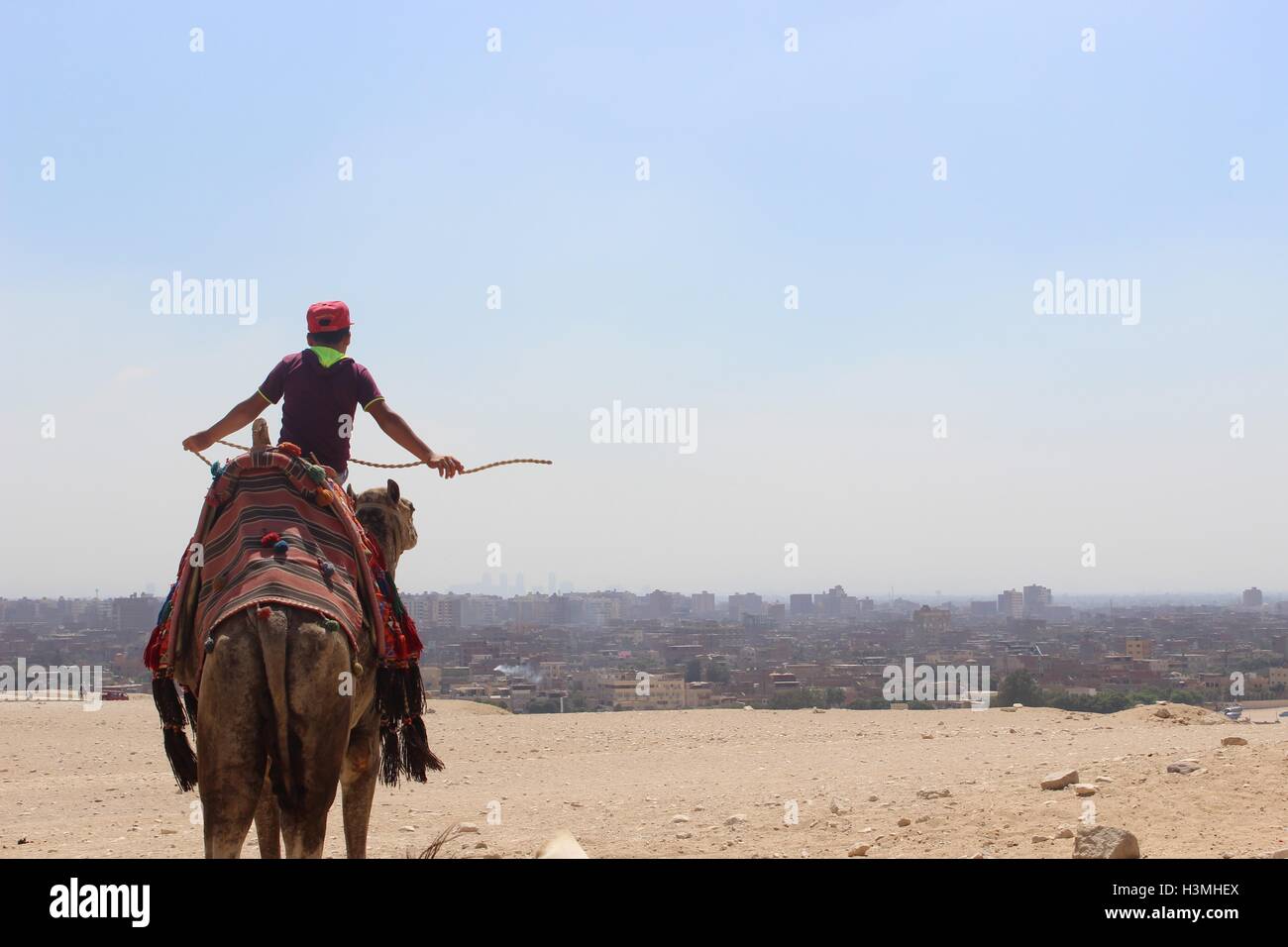 Camel man in Cairo Stock Photo - Alamy