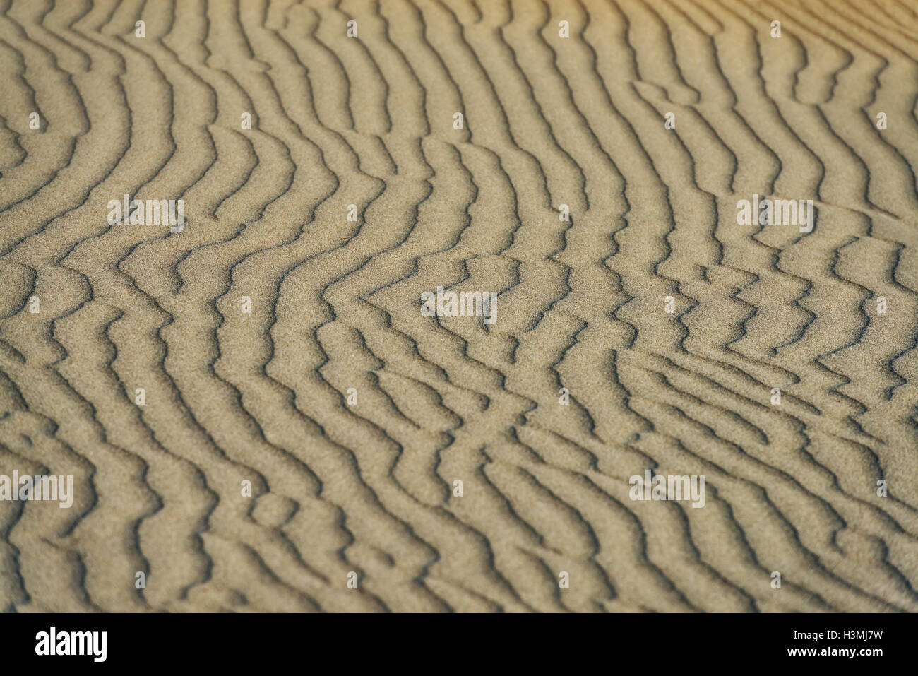 Sand texture desert yellow hi-res stock photography and images - Alamy