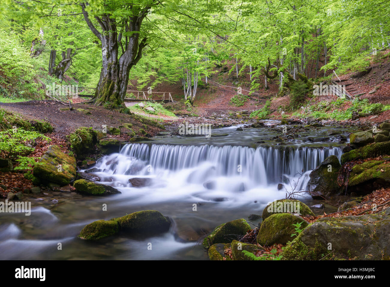 waterfall on mountain in summer time Stock Photo - Alamy