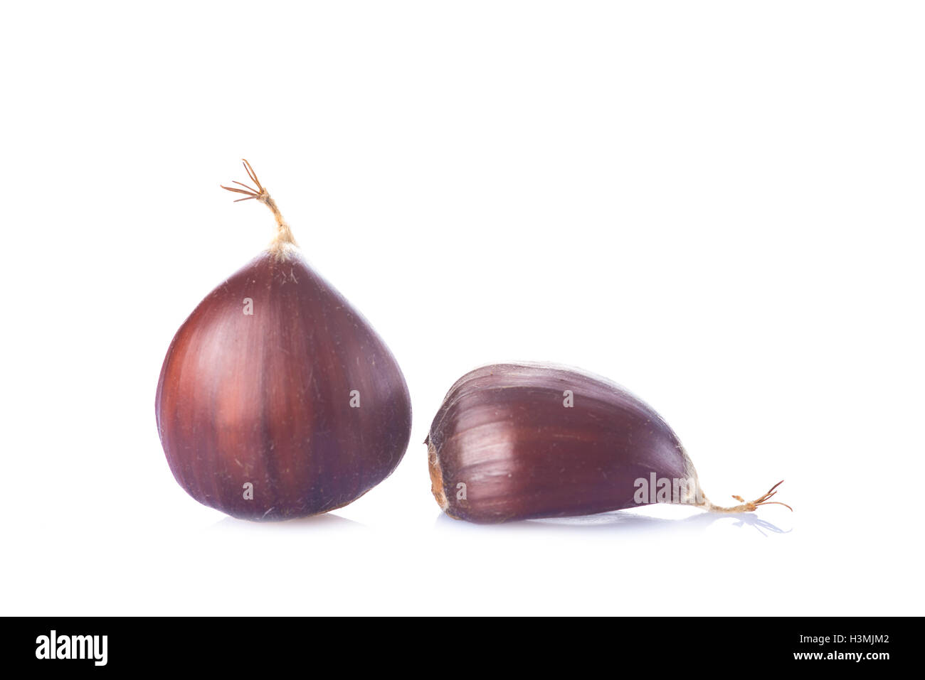 Premium chestnuts isolated on a white background Stock Photo - Alamy