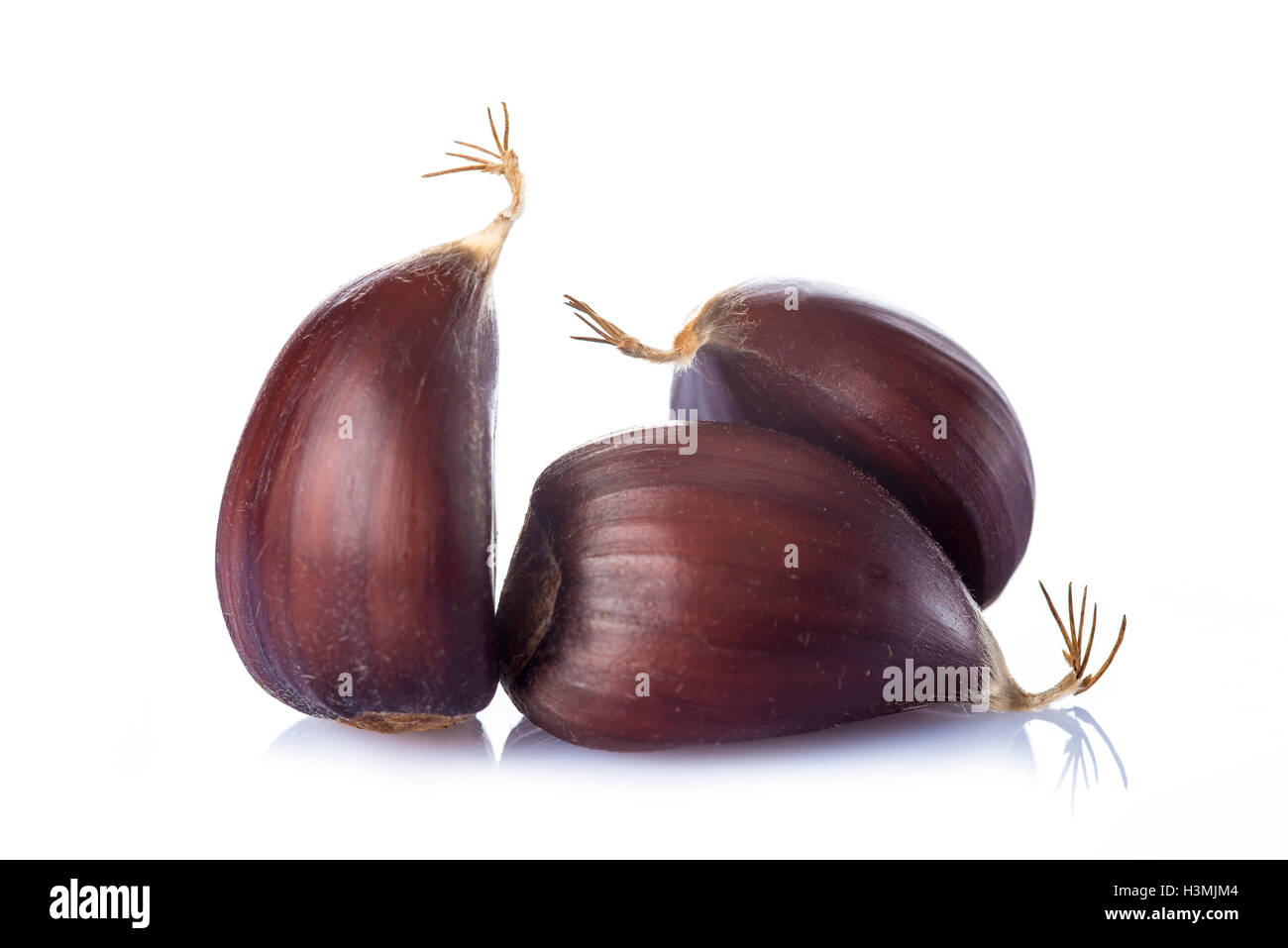 Premium chestnuts isolated on a white background Stock Photo - Alamy